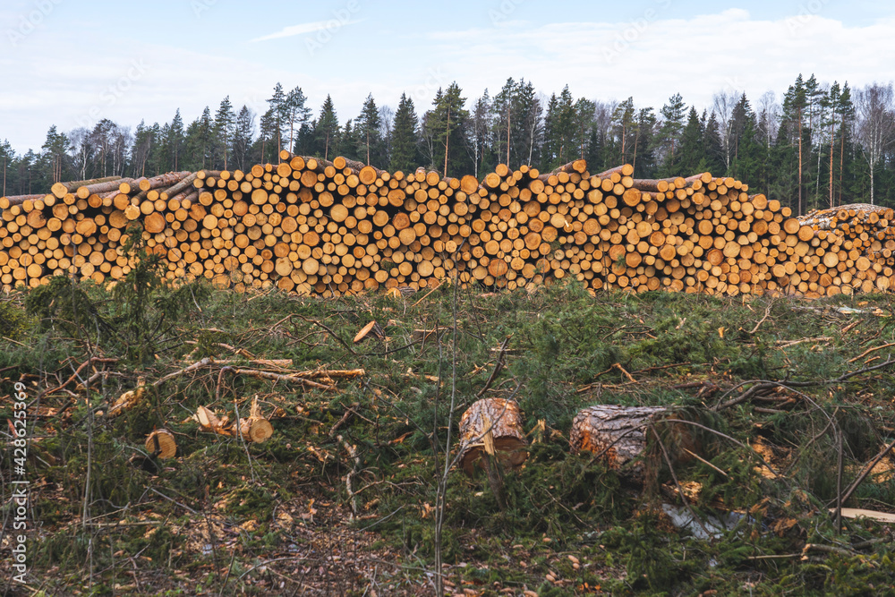 deforestation for roads, wood harvesting, wood as a renewable ...