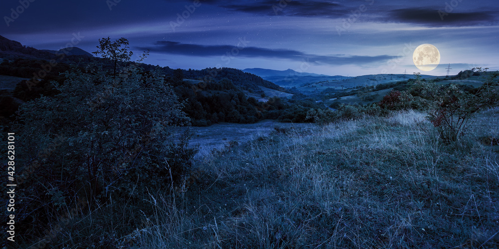 mountainous rural landscape at night. beautiful scenery with forests ...