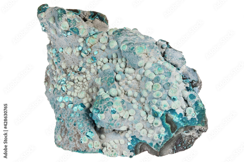 botryoidal chrysocolla from Kalukluku, DR Congo isolated on white ...