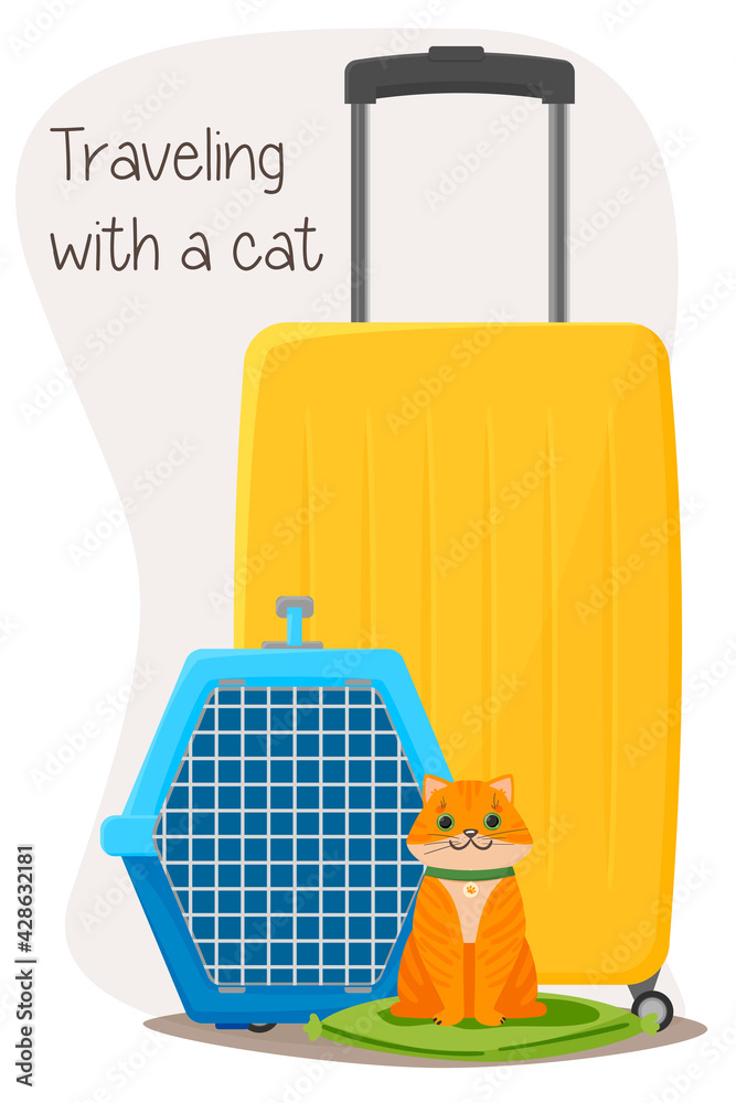 Traveling with domestic animals. Suitcase and carrier for a cat. Happy ...