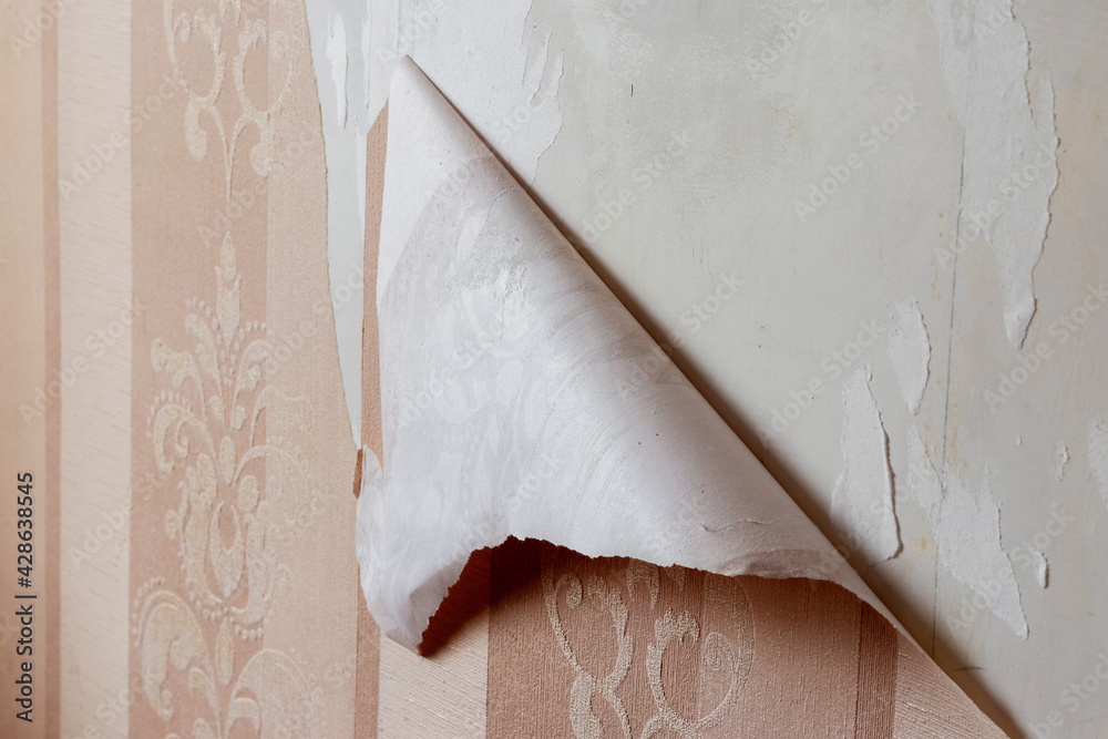 Ragged wallpaper on the wall. Room renovation, wallpaper dismantling ...