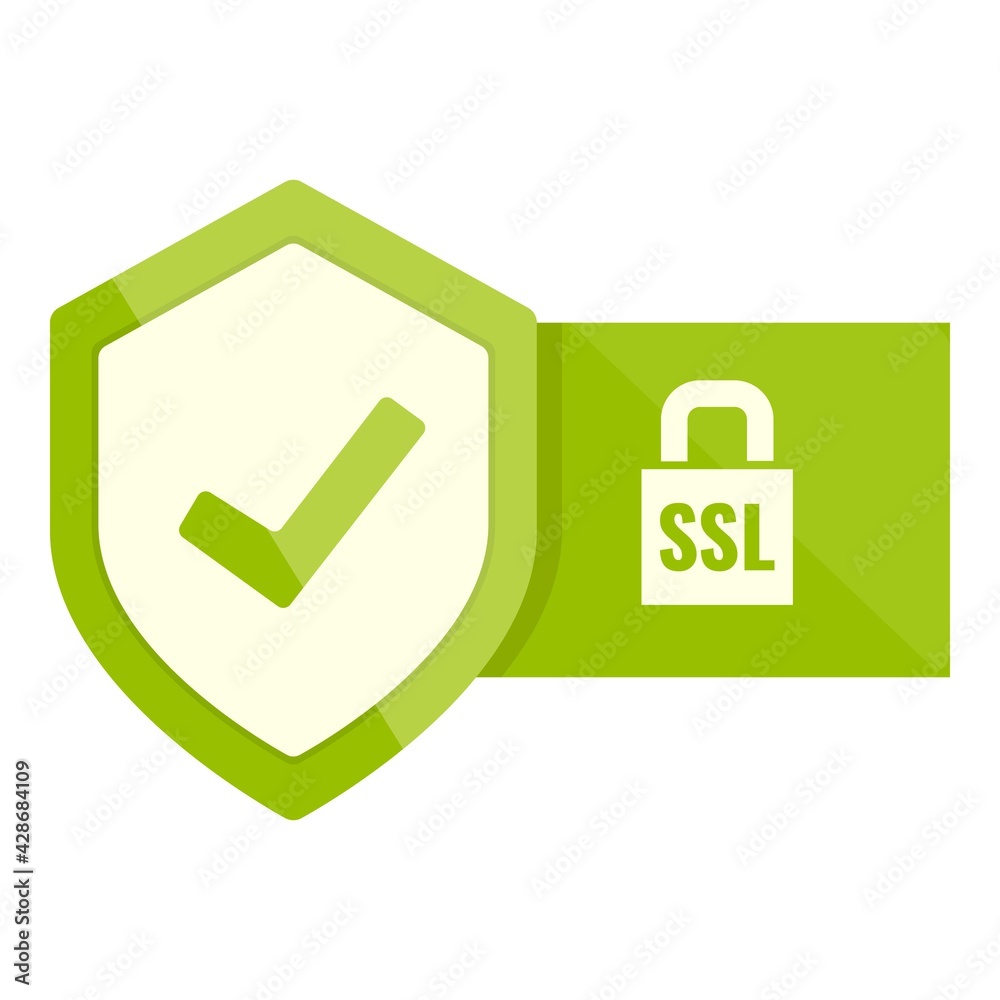 Key ssl certificate icon. Cartoon of Key ssl certificate vector icon for web design isolated on ...