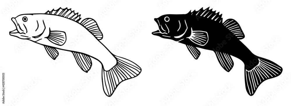 Jumping Fish Drawing - Vector Clipart Illustration Stock Vector | Adobe ...