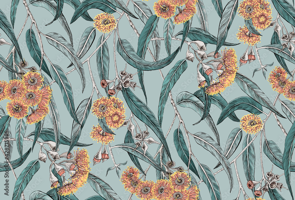 Seamless pattern with eucalyptus flowers and leaves. Eucalyptus grove ...