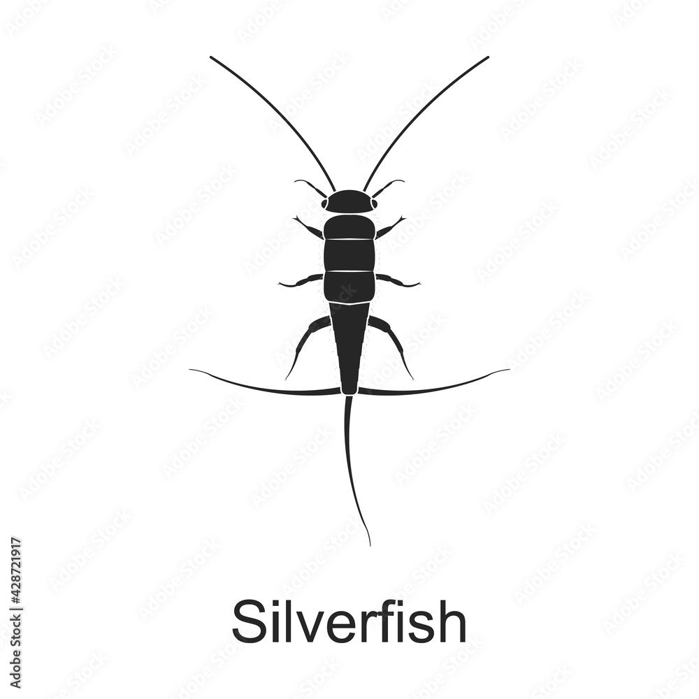 Silverfish vector black icon. Vector illustration pest insect ... Silverfish vector black icon. Vector illustration pest insect ...