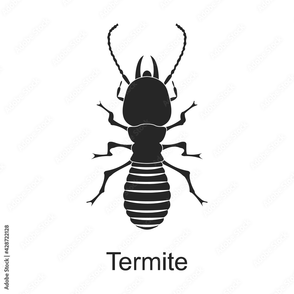 Vecteur Stock Termite vector black icon. Vector illustration pest ...
