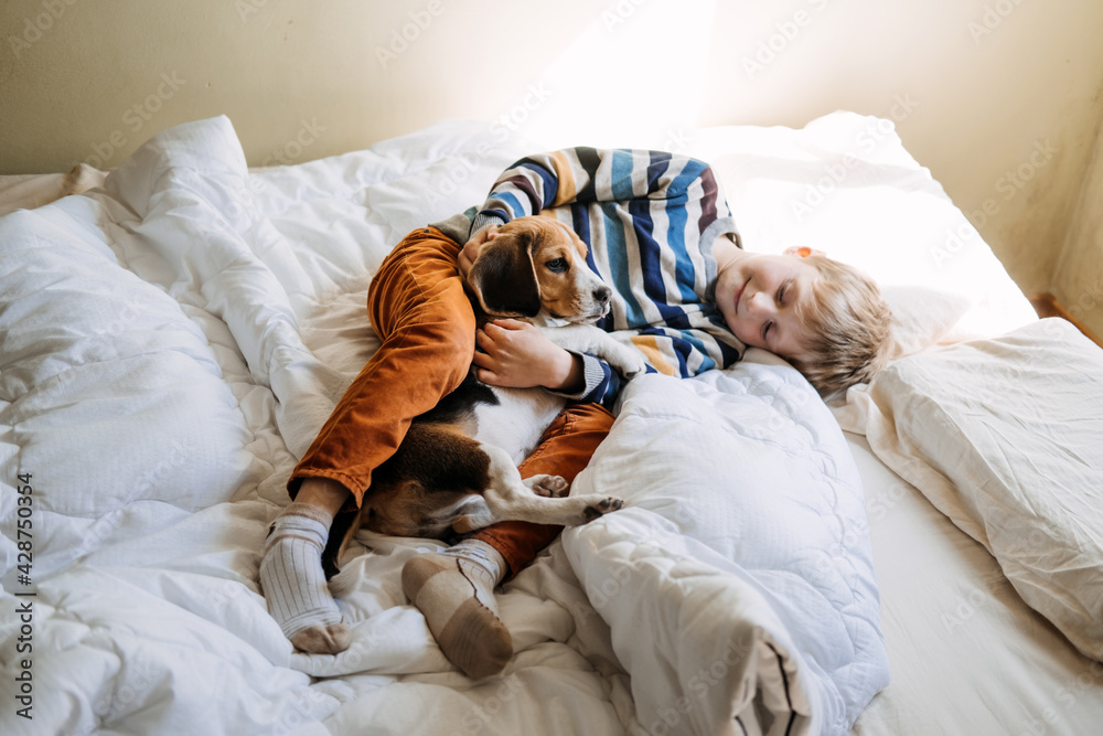 Best Dog Breeds for Kids, Good Family Dogs. Introducing Puppies and ...