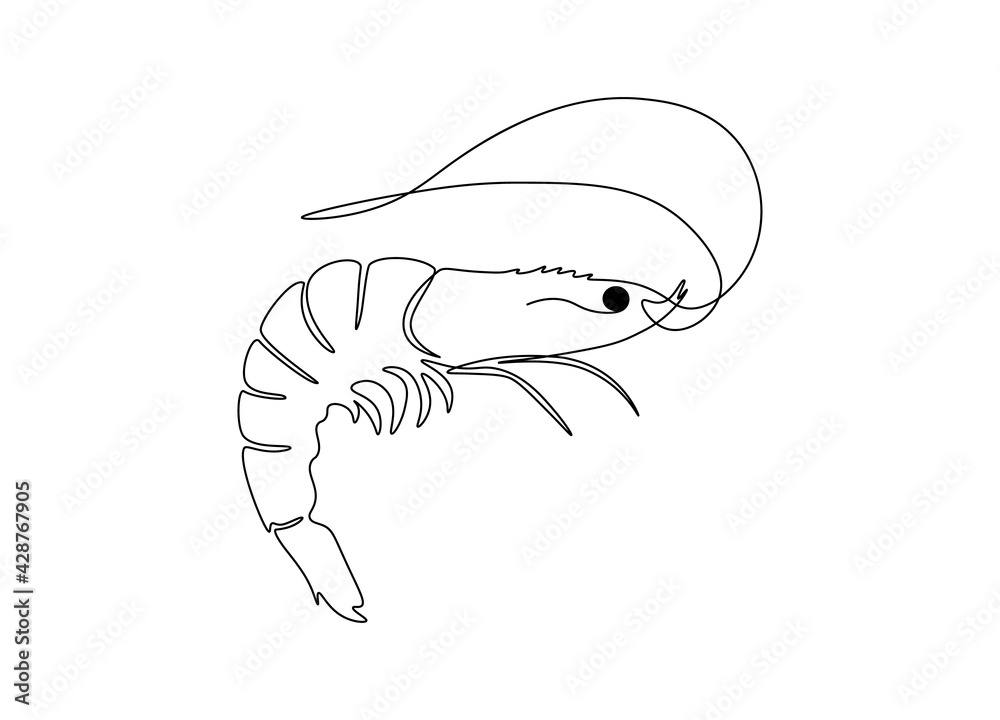 One line drawing of shrimp. Hand drawn prawn for seafood logo identity ...