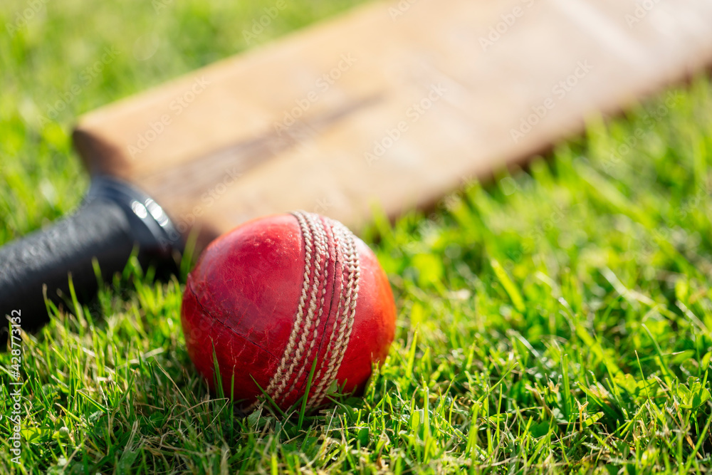 Cricket bat and ball on cricket pitch Stock Photo | Adobe Stock