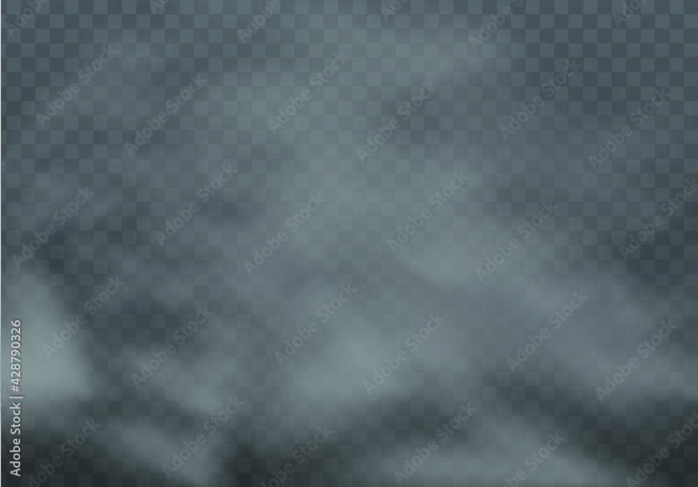 Realistic smoke on transparent background. Vector illustration with ...