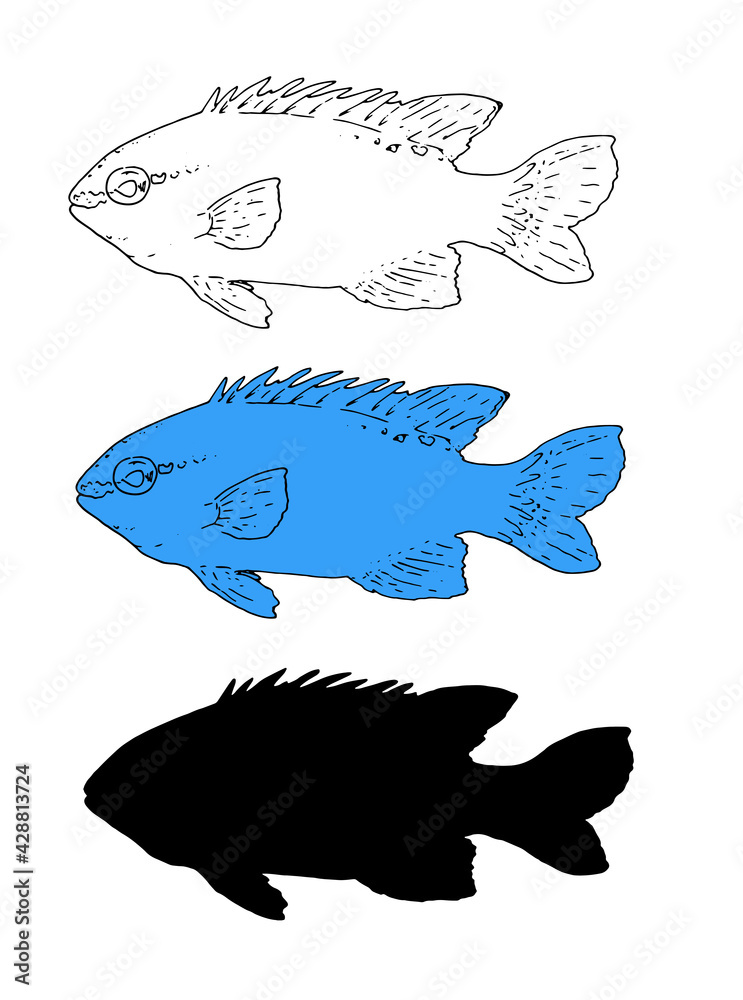 Vector set of isolated elements of marine tropical fish silhouette ...