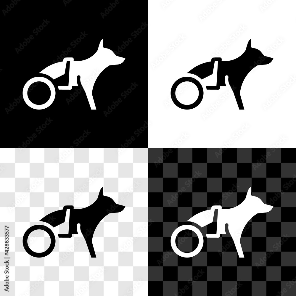 Set Paralyzed dog in wheelchair icon isolated on black and white ...