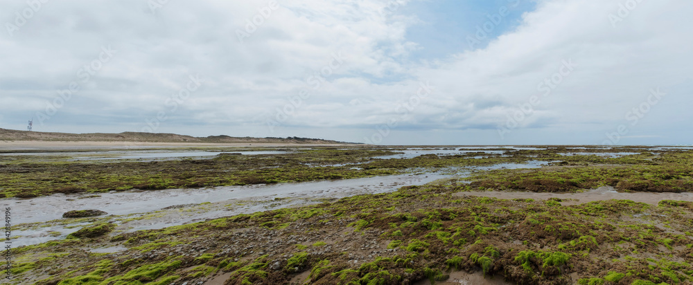 Île de Ré dans le Golfe de Gascogne. Littoral sauvage à marée basse le ...