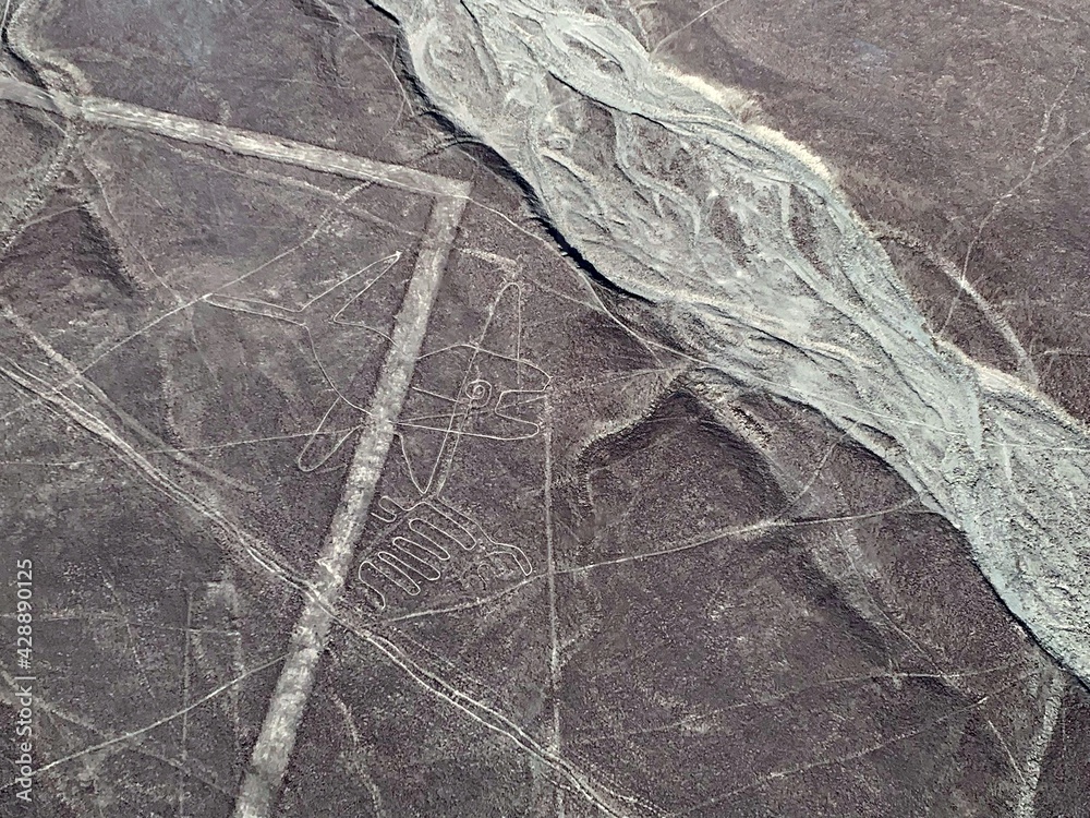 Nazca lines Geoglyph Whale in Nasca desert, Peru, aerial view on whale ...