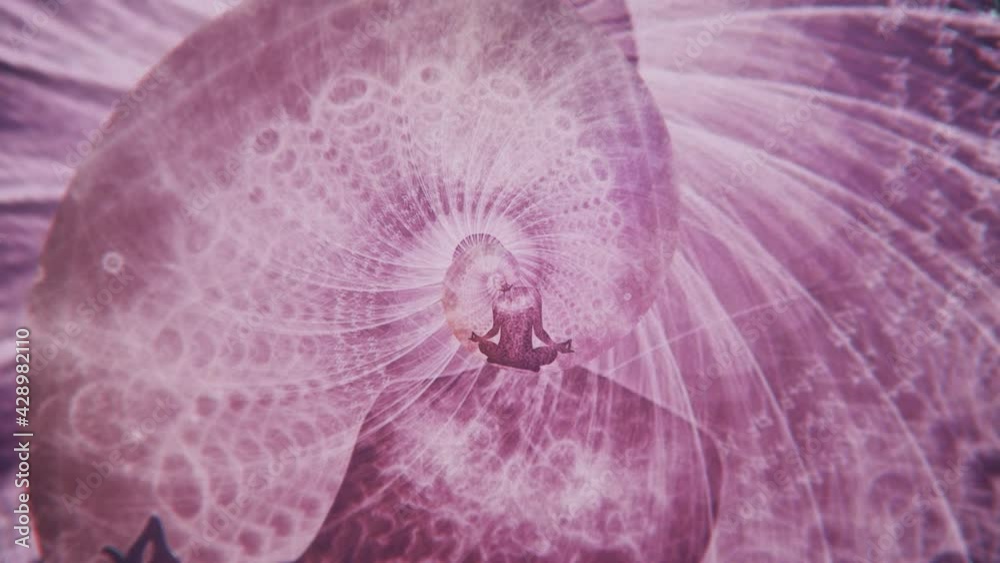 Silhouette of a yogi in a lotus asana on the background of a rotating ...