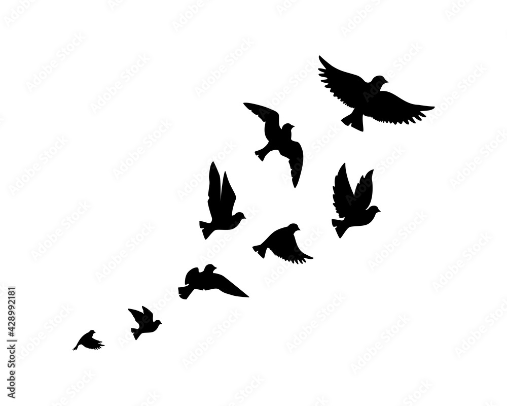 Flying birds silhouettes isolated on white background, vector. Birds ...