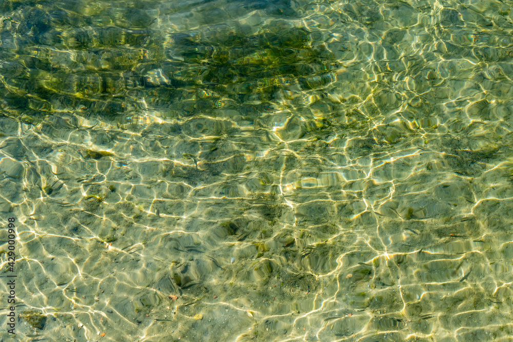 Fotka „Abstract clear transparent green water in the lake, river, pond ...