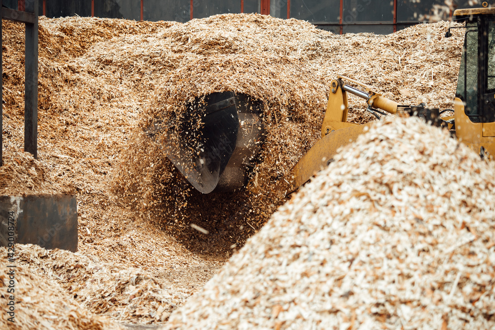 the excavator loads wood chips. the large bucket of the conveyor loads ...