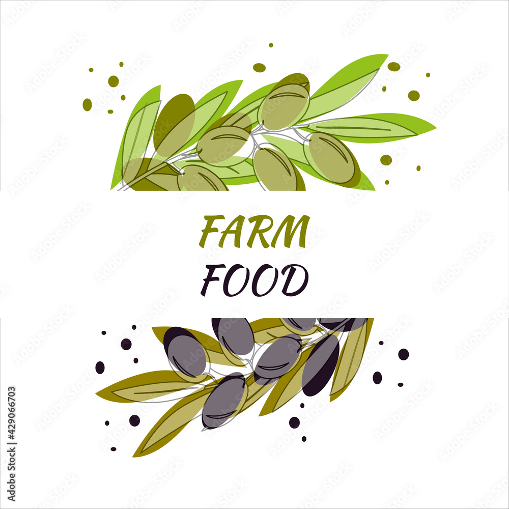 Olive tree branches with green and ripe olives. Vector illustrations in ...