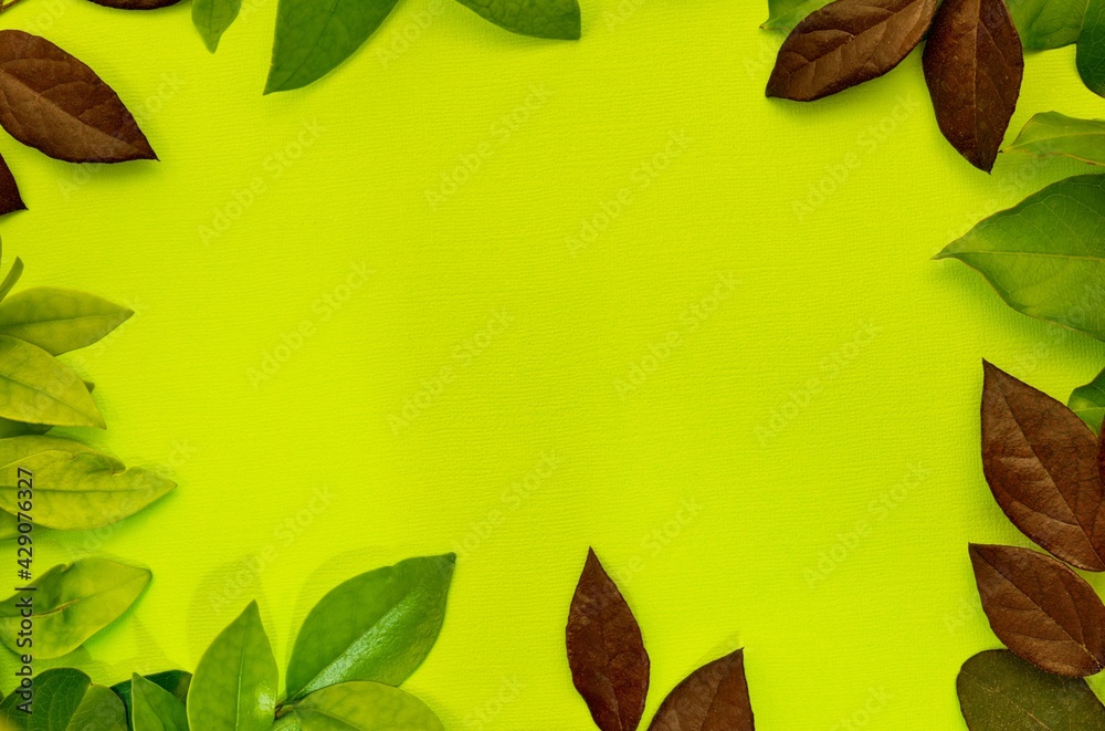 Green Spring leaf border foliage on plain background, flat lay with ...