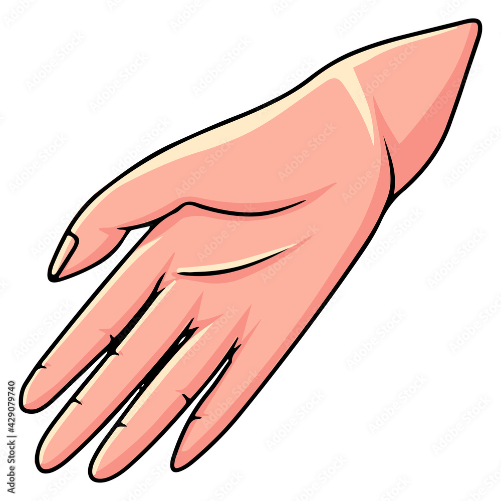 Hand gesture. Woman's hand. Hand gestures. Cartoon style. Stock Vector ...