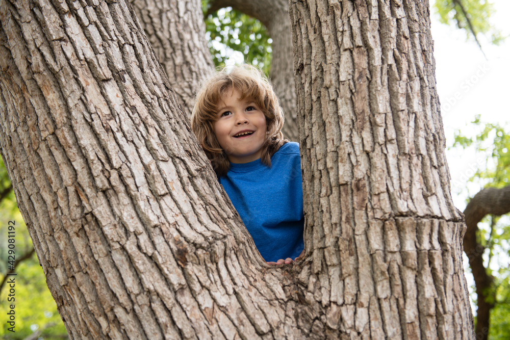 Portrait of cute kid boy sitting on the big old tree on summer day ...