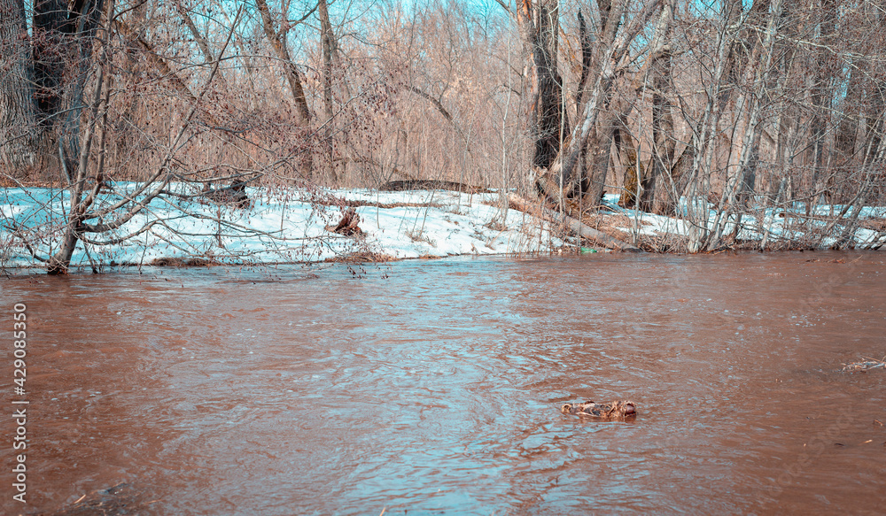 Flood, arrival of water in spring from melting snow. Stock Photo ...
