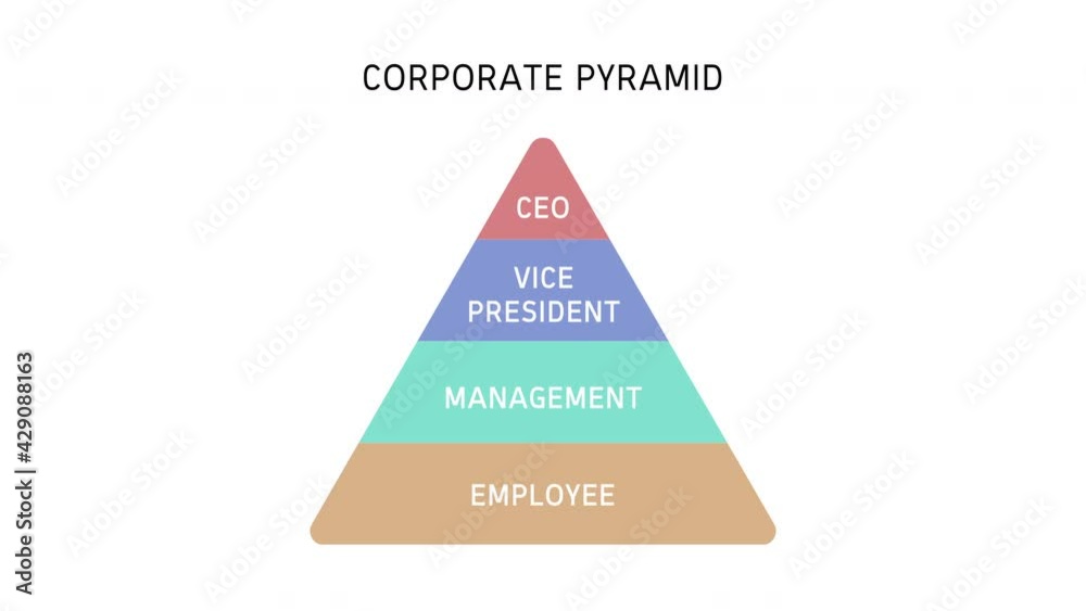 Corporate Pyramid Position Level Animation on White Background and ...