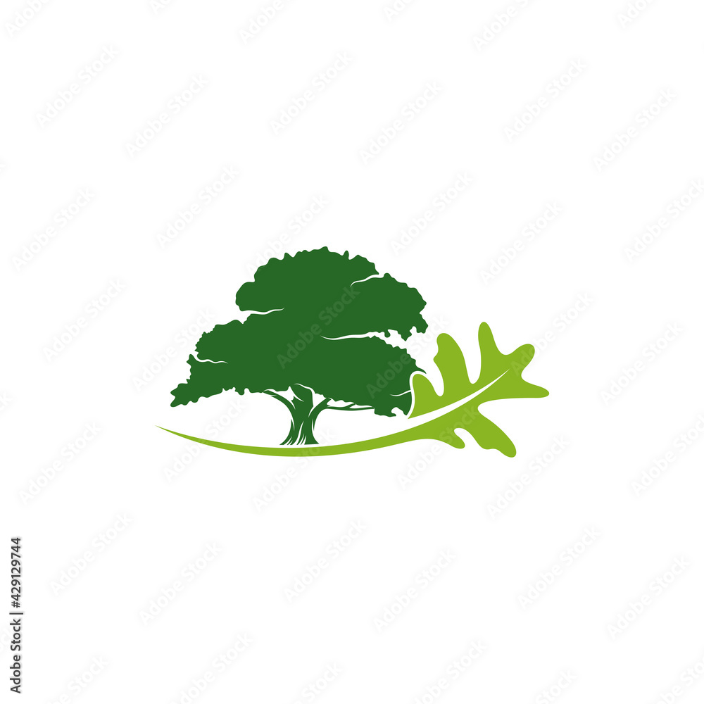 Oak Tree logo design vector illustration, Creative oak tree logo design ...