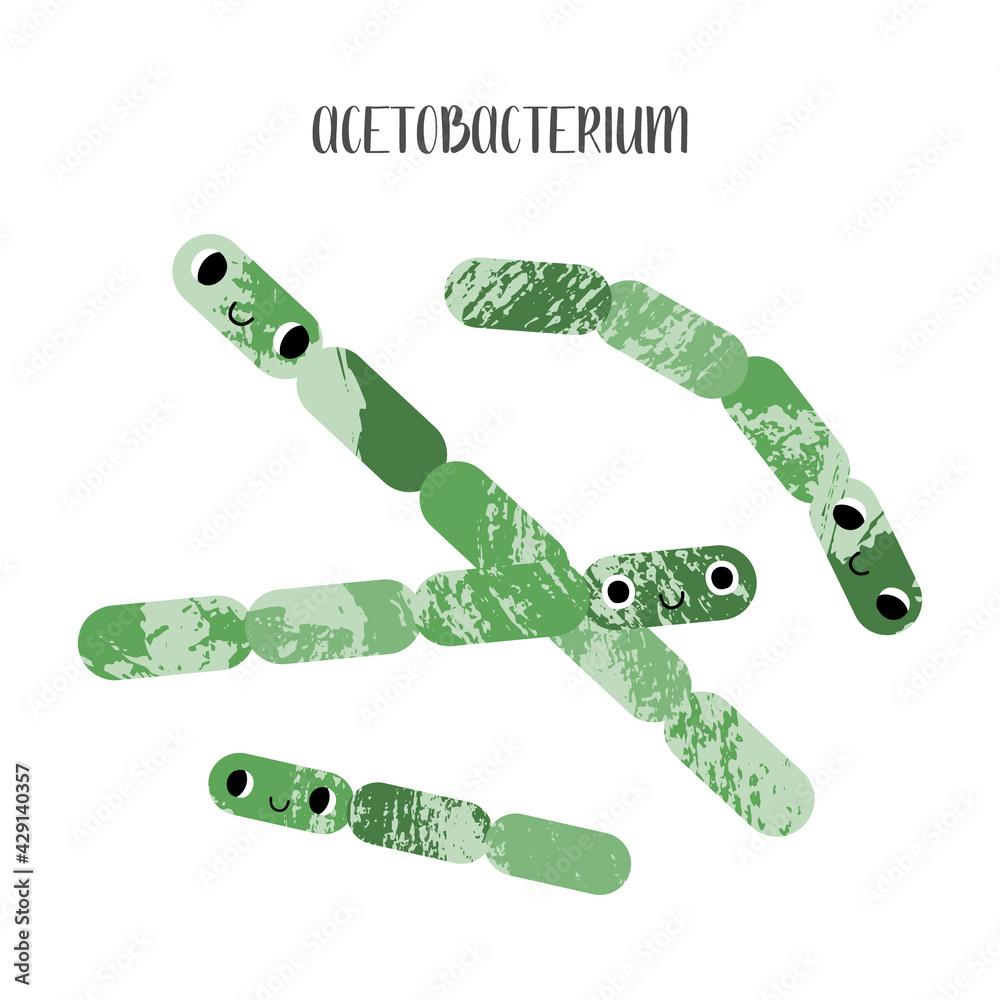 Acetobacterium. Cute lactic acid bacteria character. Probiotics. Good ...