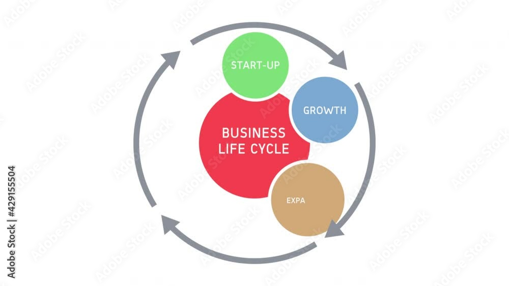 Business Life Cycle Animation on White Background and Green Screen ...