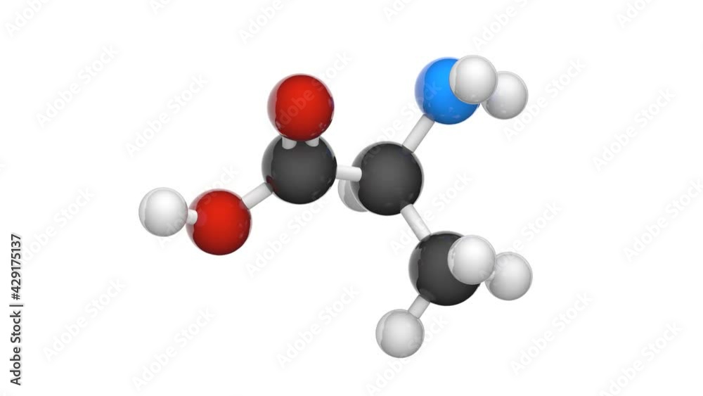 Alanine (symbol Ala or A) is a small non-essential amino acid in humans ...