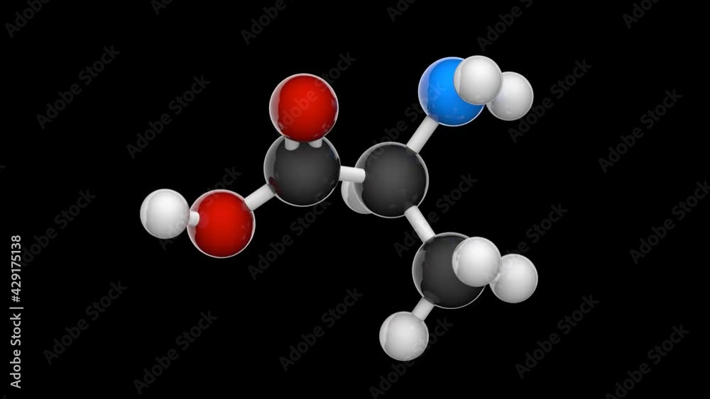 Alanine (symbol Ala or A) is a small non-essential amino acid in humans ...