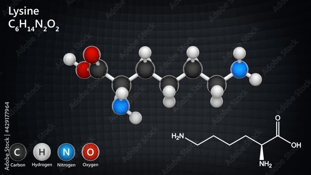 Lysine (symbol Lys or K) is an amino acid that is used in the ...
