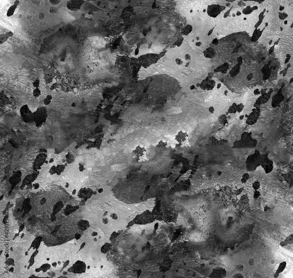 Graphite background. Simple abstract black-white watercolor, animal ...
