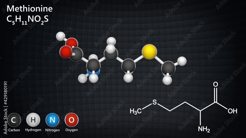 Methionine (symbol Met or M) is an essential amino acid in humans ...