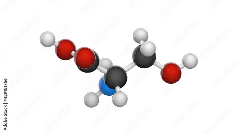 Serine (symbol Ser or S)is an amino acid that is used in the ...