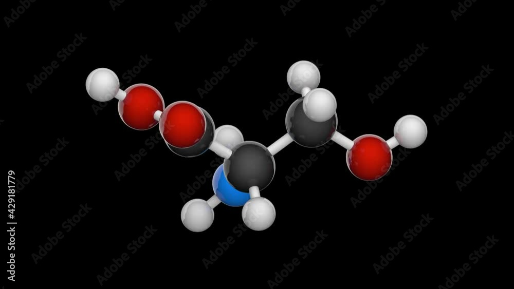 Serine (symbol Ser or S)is an amino acid that is used in the ...