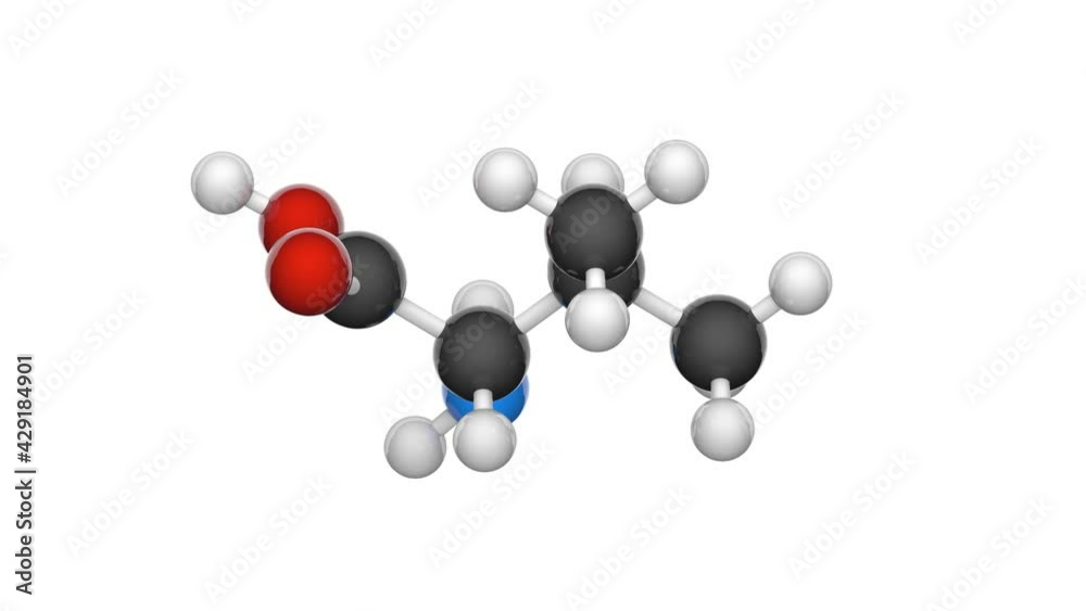 Vidéo Stock Valine (symbol Val or V) is an amino acid that is used in ...