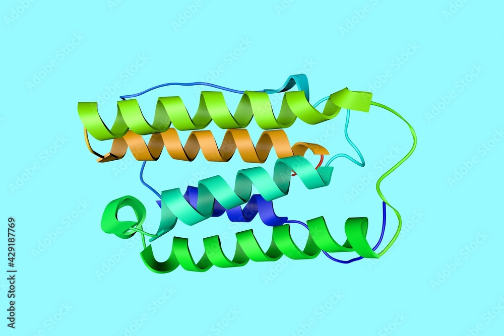 Crystal structure of interferon alpha-2A, a cytokine that used to treat ...