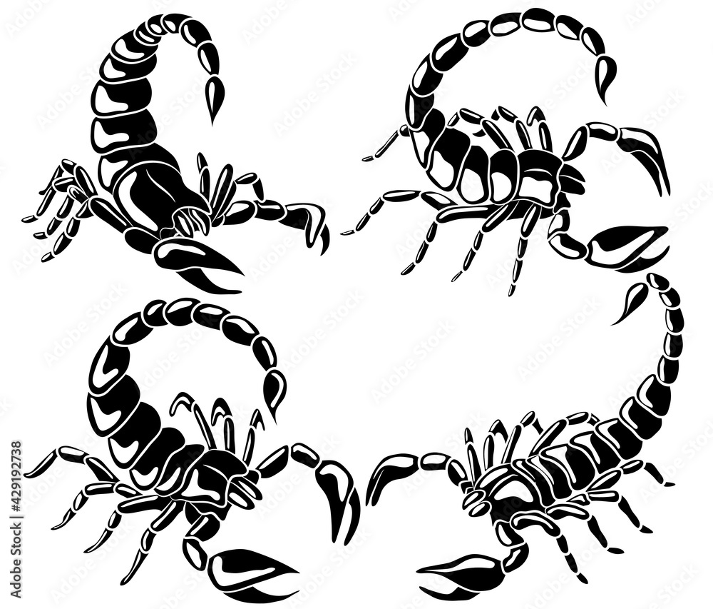 Graphic scorpion set isolated on white background in different poses ...