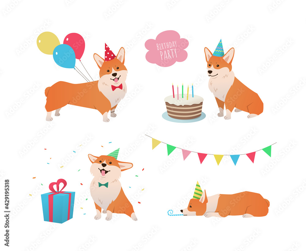 Corgi Birthday Cute