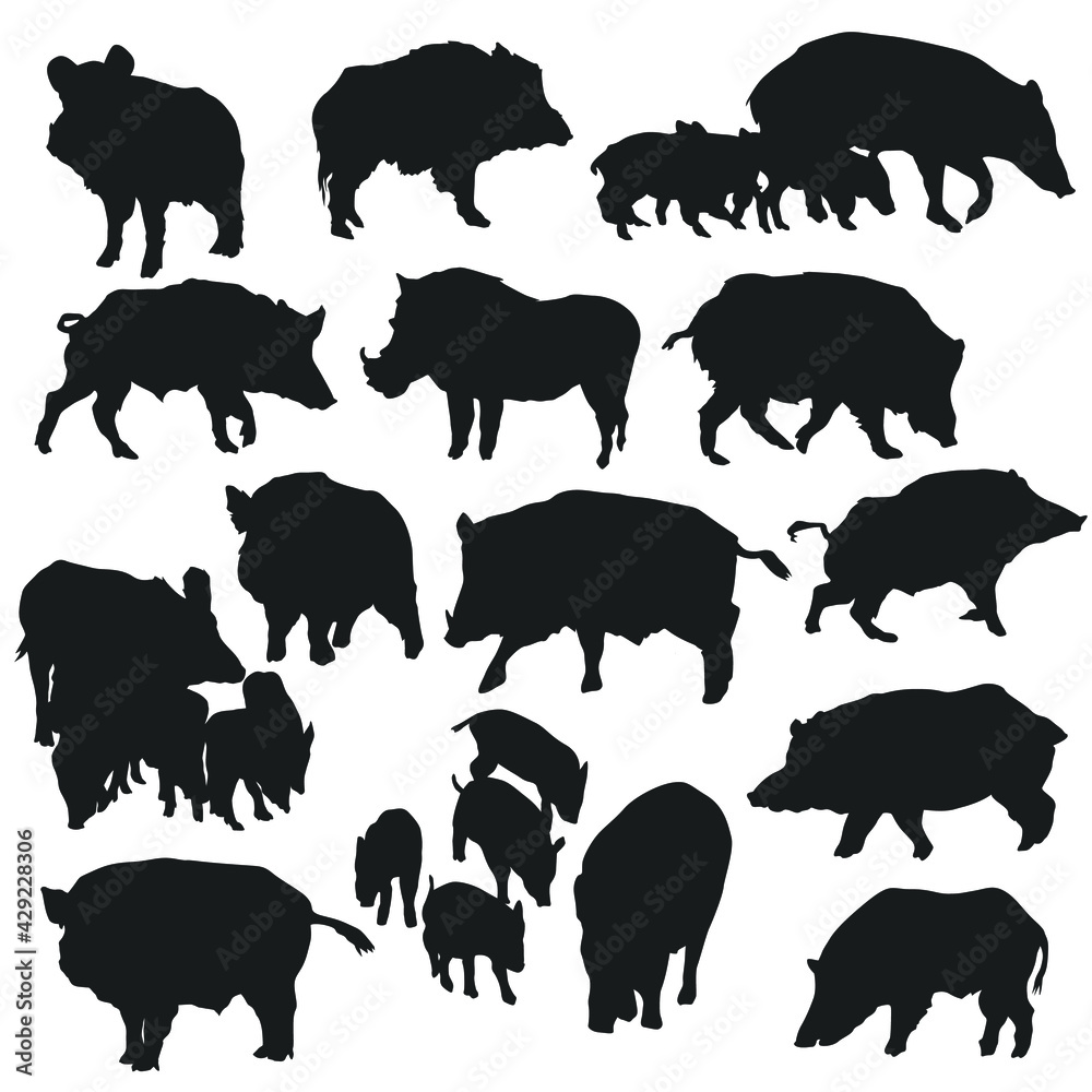 Wild Pig Illustration Clip Art Design Collection Silhouettes Animal ...