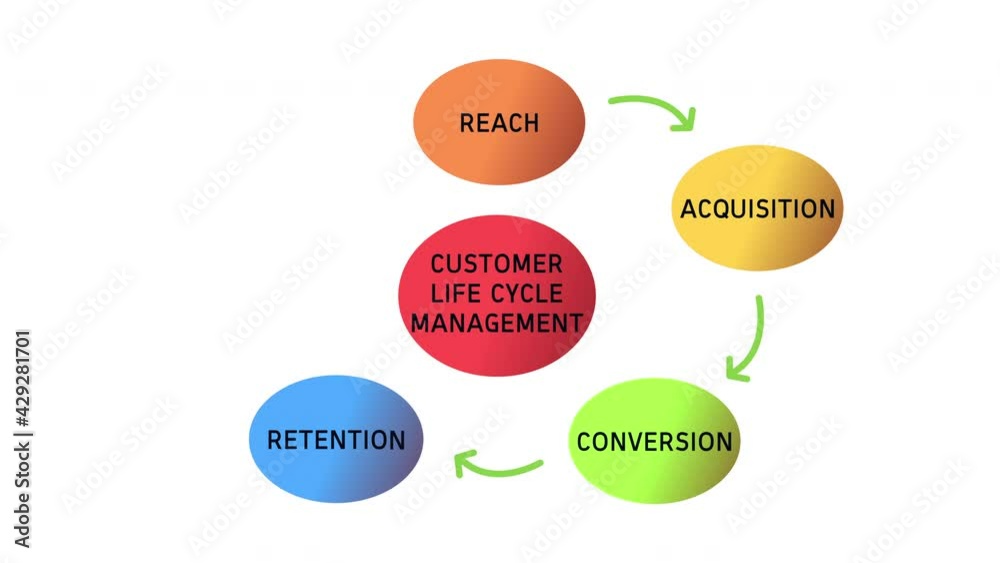 Customer Lifecycle Management Diagram Cycle Animation on White ...
