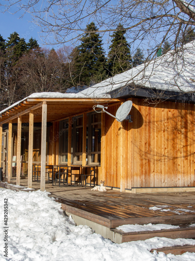 Buildings for recreation, made for living in nature, made of natural ...