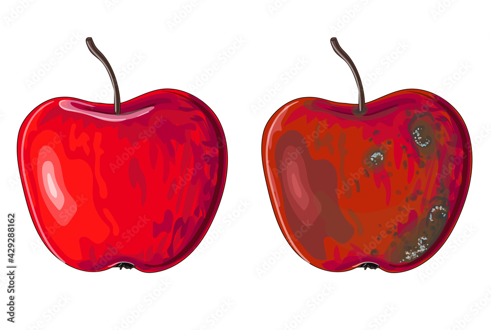 Set of two apples in cartoon style. One apple is red and beautiful, and ...