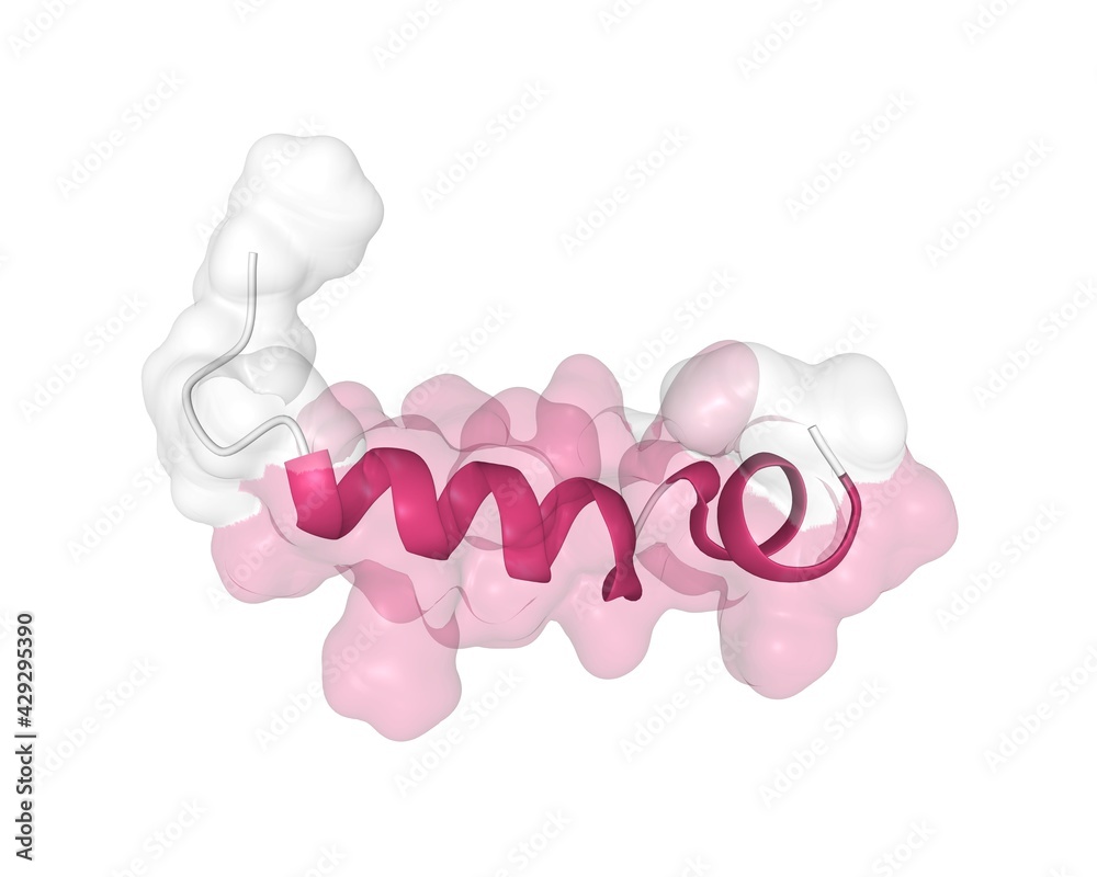 Solution structure of human hormone orexin-B: regulator of appetite and ...