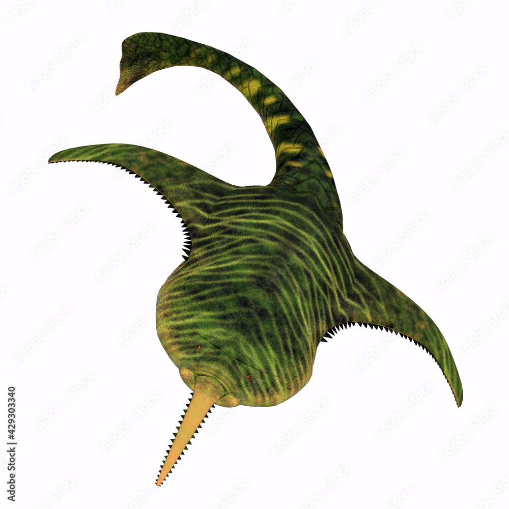 Ilustrace „Doryaspis Fish Head - Doryaspis was a carnivorous fish that ...