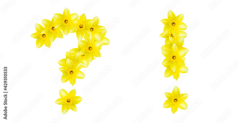 Exclamation mark and question mark made of daffodil yellow flowers ...