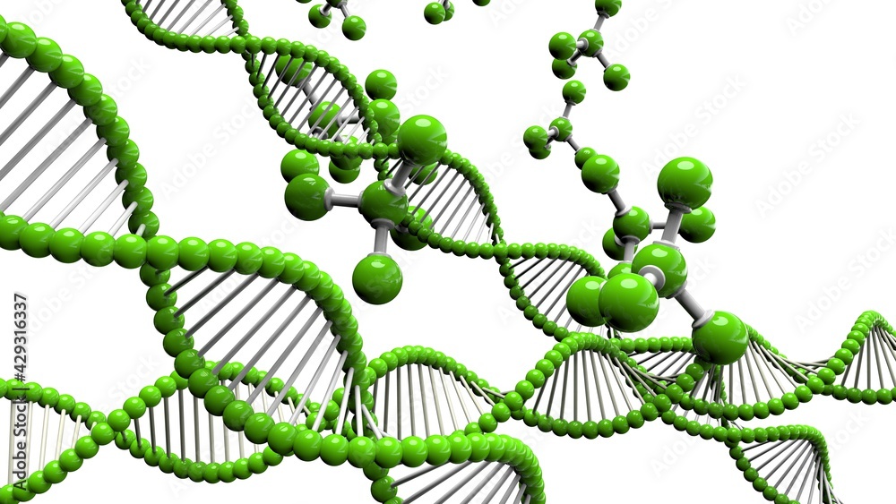 Green Molecular structure and Green DNA Model Structure under White ...